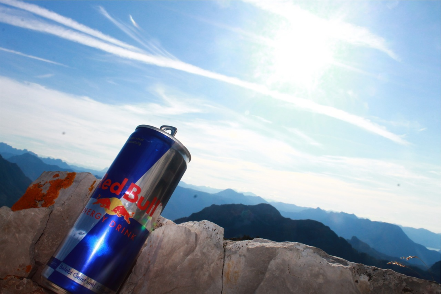 Red Bull vs. Monster: Which One Is Better? - Muscle Evolved